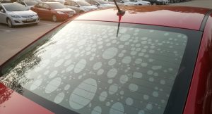 Can You Fix Window Tint Bubbles Without Replacing It?